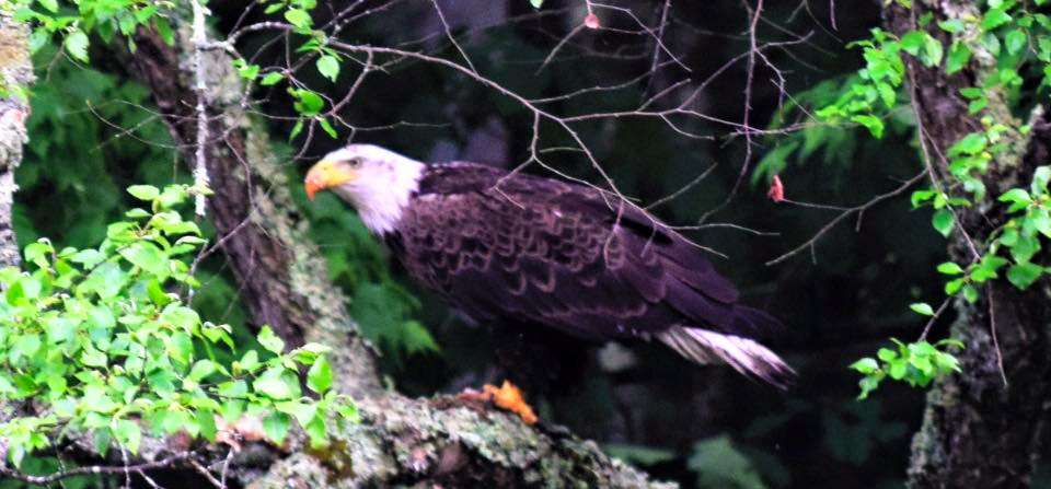 oaklandvalleycampground